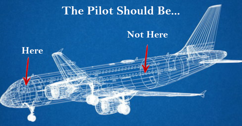 Pilot Delivers Baby While Flying Plane